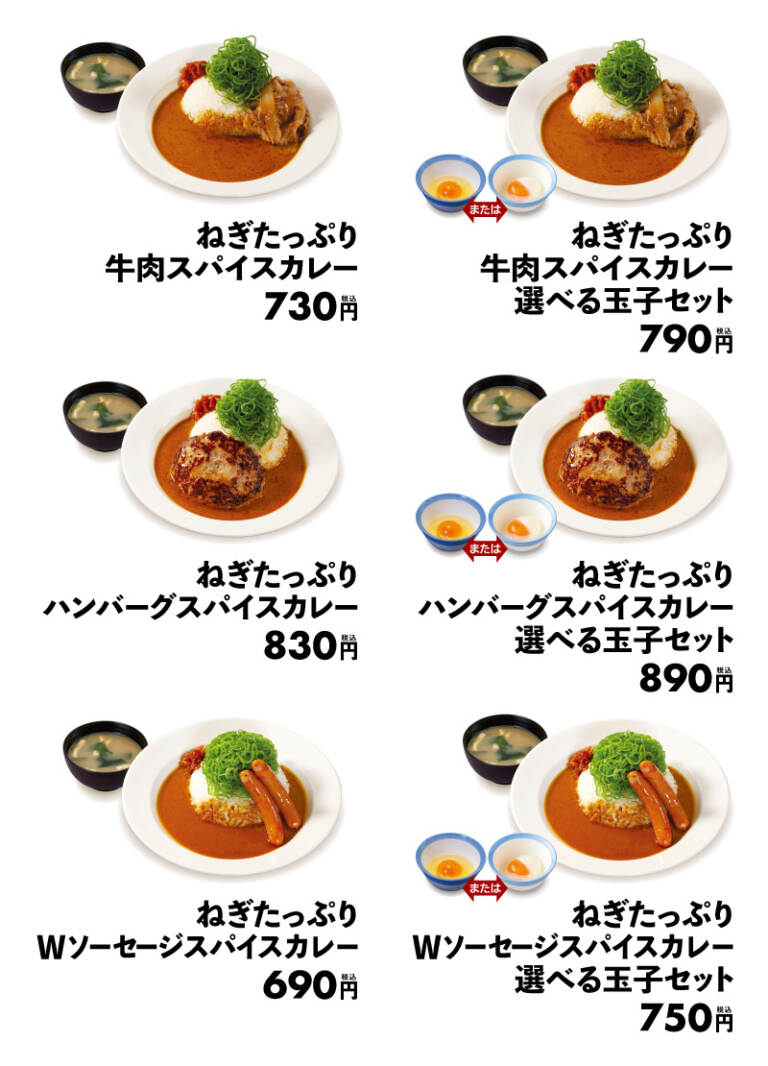 【松屋】辛党への挑戦状「ねぎたっぷりスパイスカレー」 新発売 | Foooood